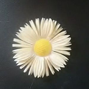 Jewelry | Vintage Daisy Brooch | Poshmark